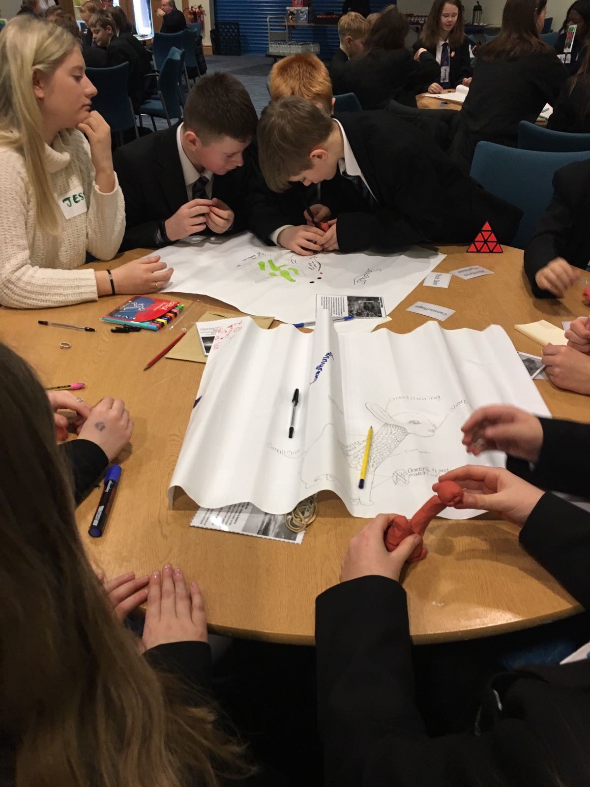 6 - Workington Academy